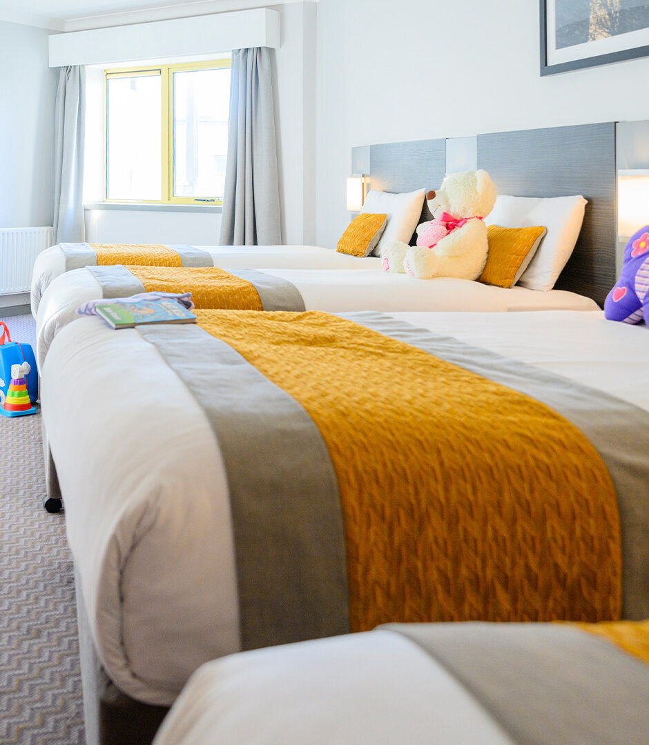 Family Summer Breaks Ireland | Newtown Park Hotel