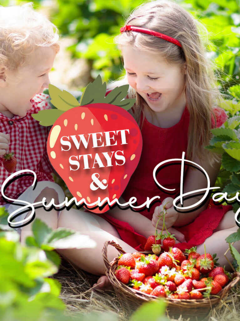 Family Summer Breaks Ireland | Newtown Park Hotel