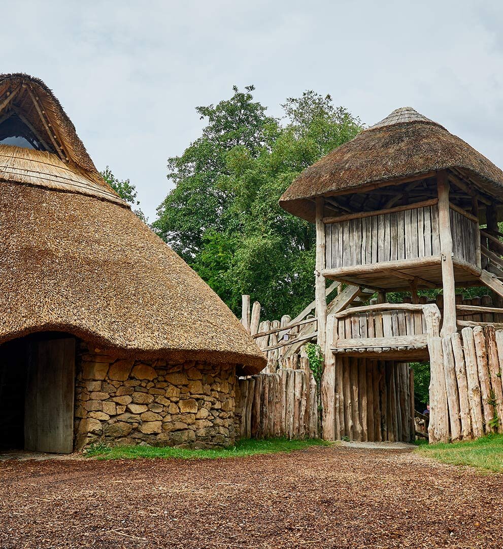 Irish National Heritage Park | Wexford Activities | Newtown Park Hotel