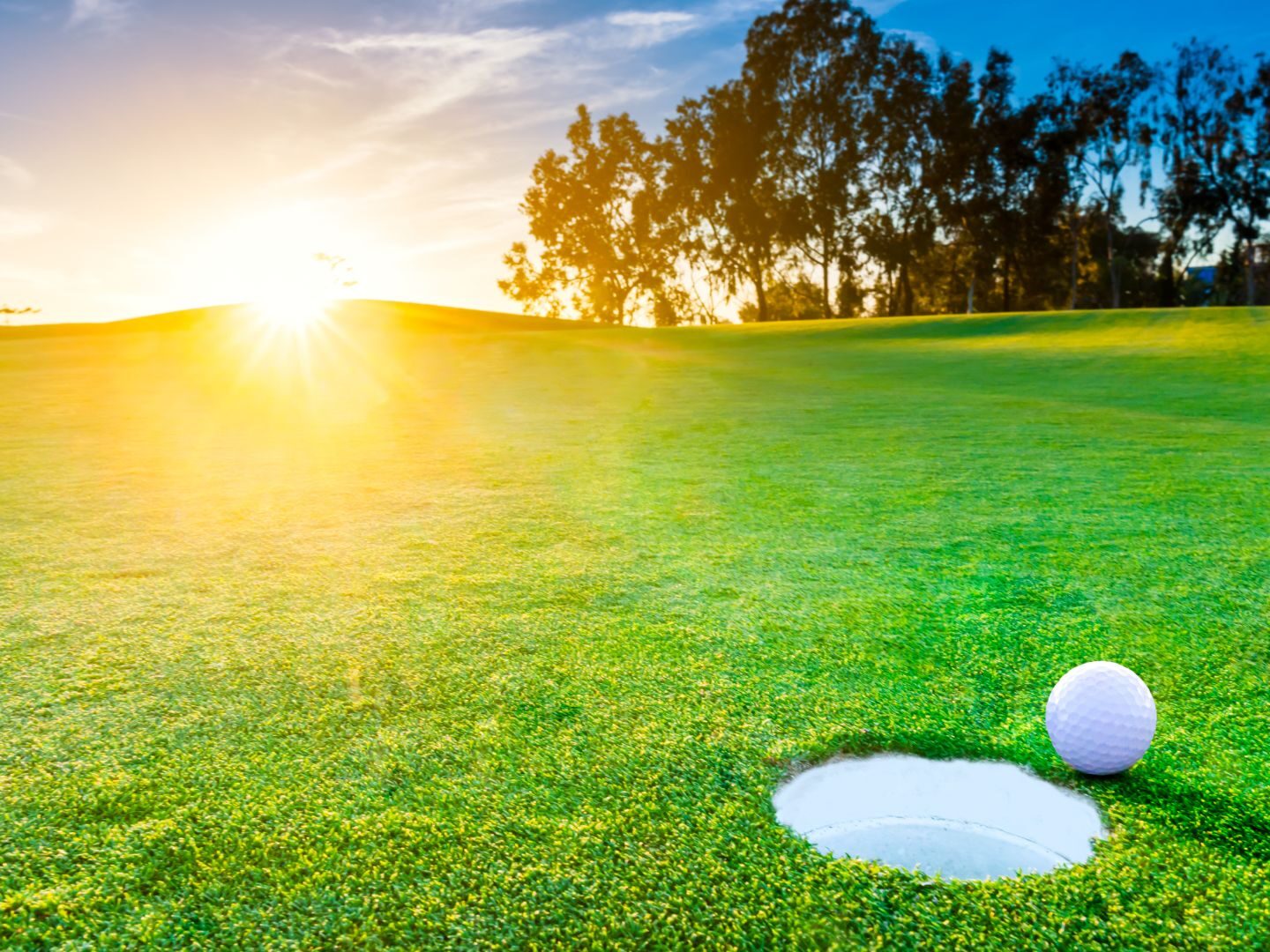 Golf Courses Wexford | Golf In Wexford | Newtown Park Hotel